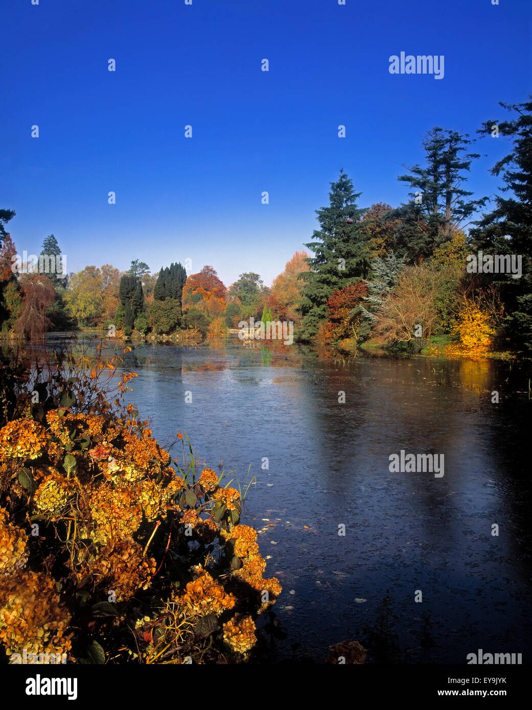 Altamont garden hi-res stock photography and images - Alamy