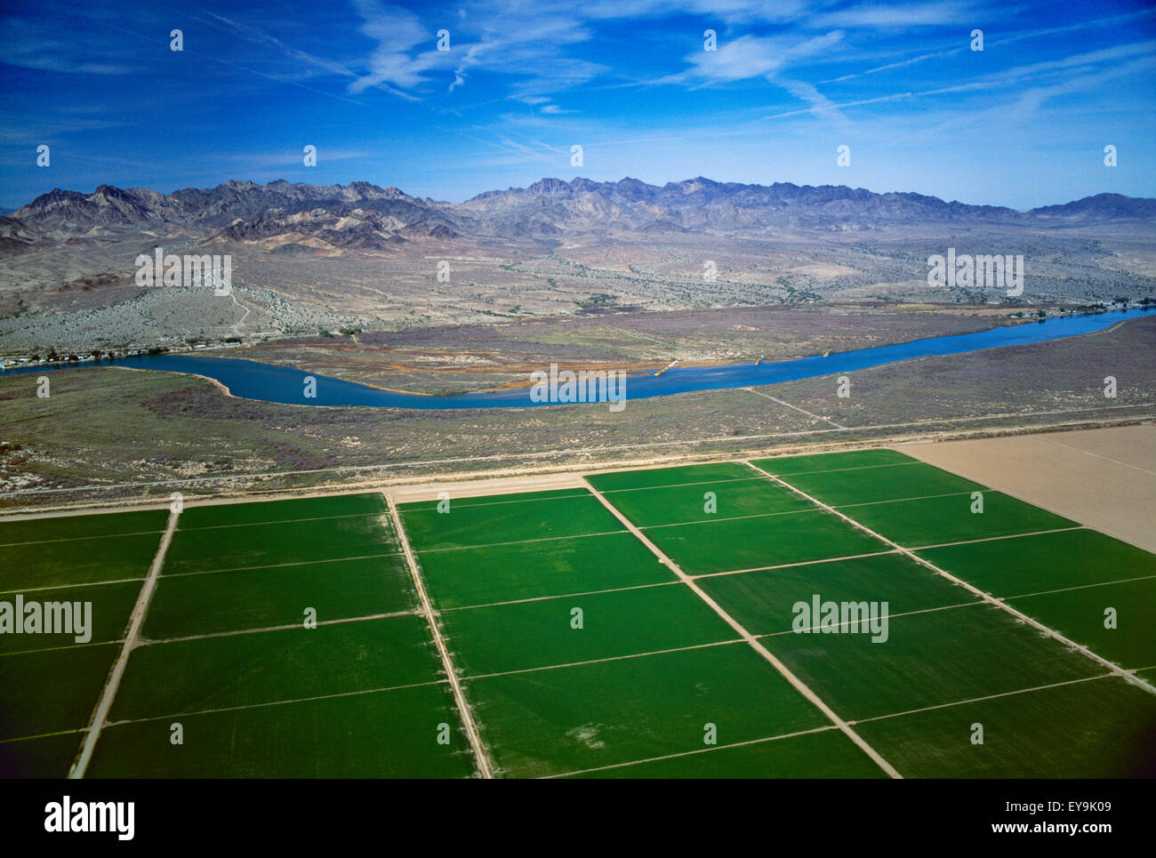 Arizona colorado river farm hi-res stock photography and images - Alamy