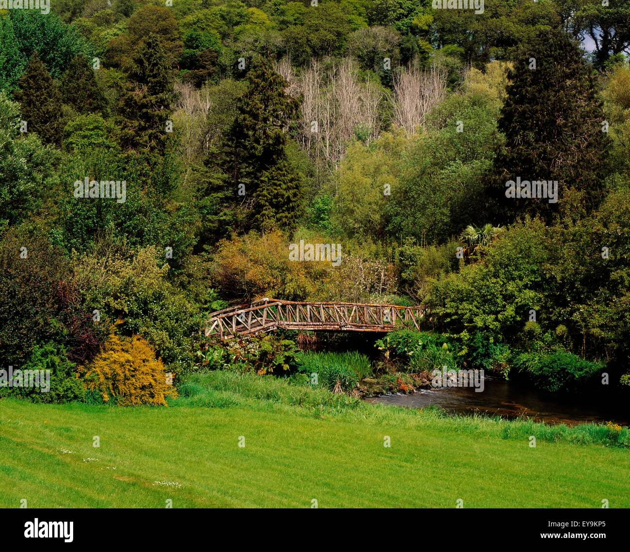 Rustic Bridge, Annesgrove, Castletownroche, Co Cork, Ireland Stock ...