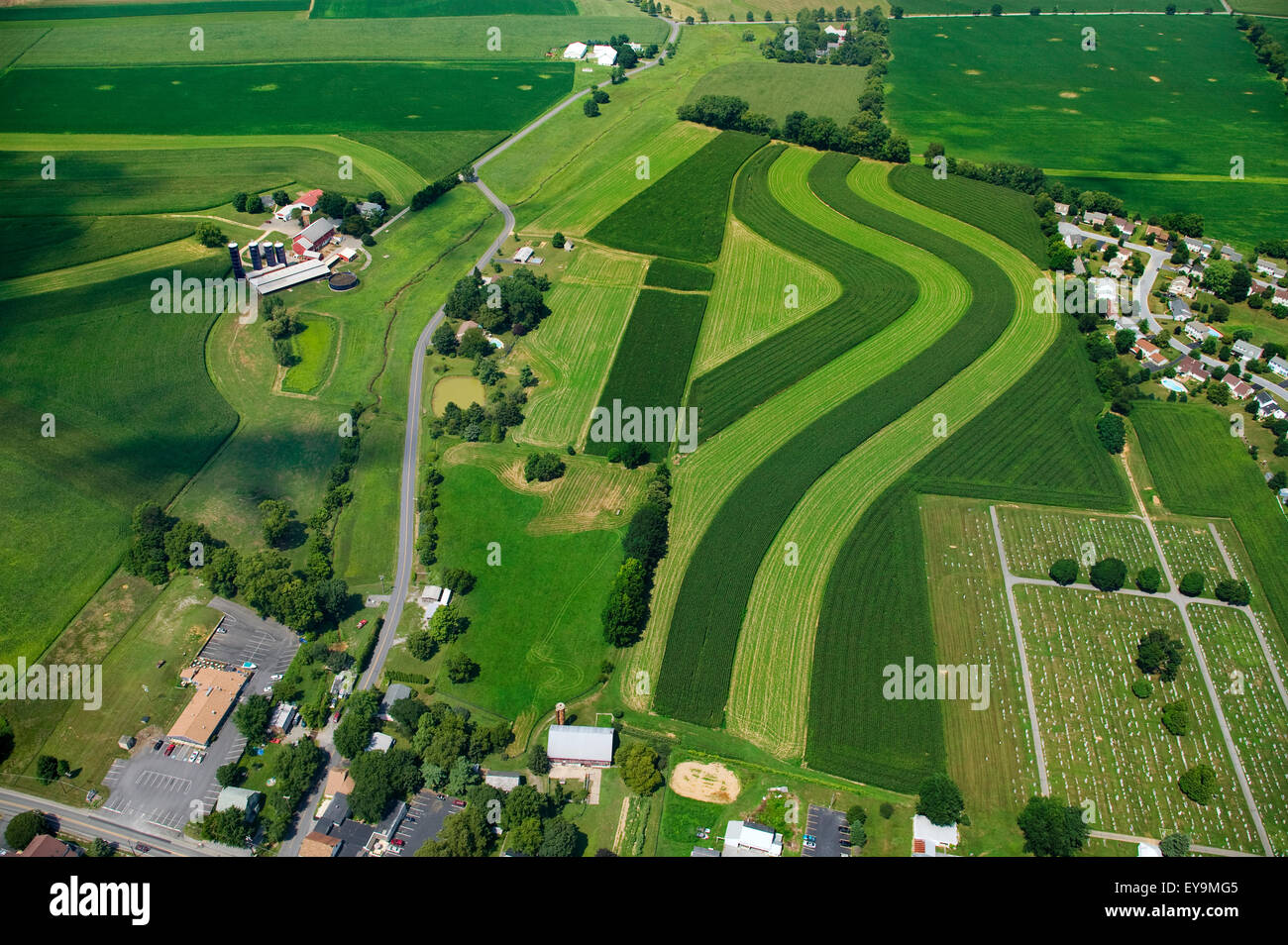 Strip cropping hi-res stock photography and images - Alamy