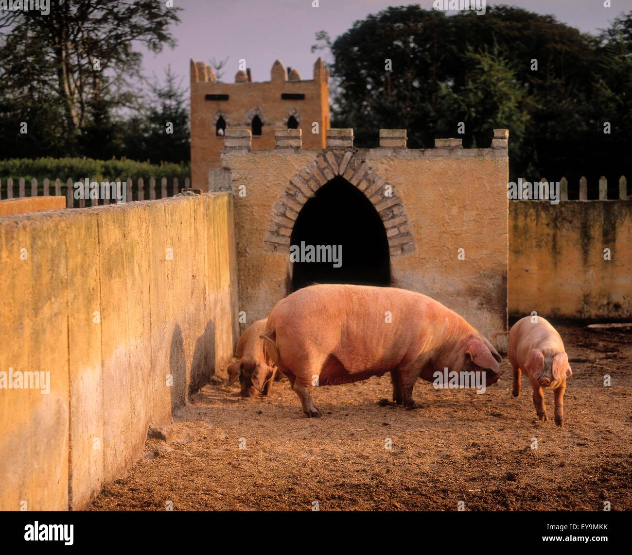 Pigsty, Larchill Arcadian Garden, Co Kildare, Ireland Stock Photo - Alamy