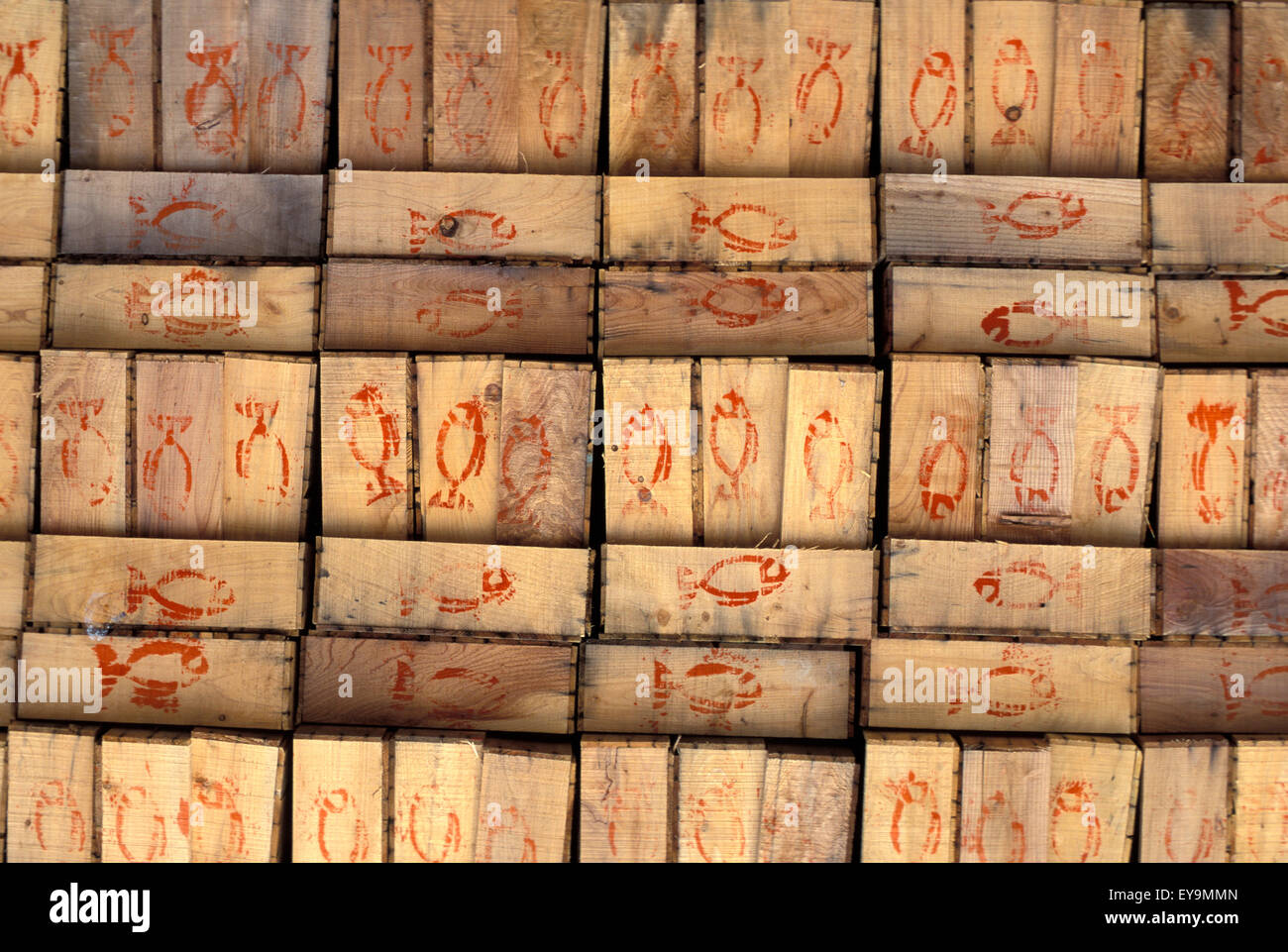 Large Group Of Wooden Fish Boxes Stock Photo - Alamy