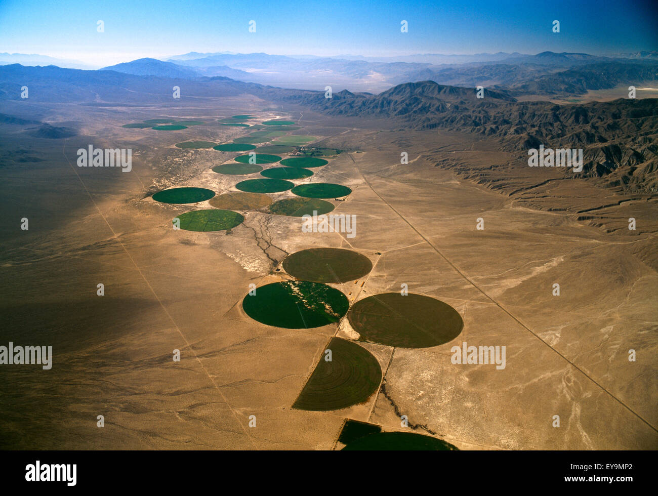 Agriculture - Aerial view of center pivot irrigated circular ...