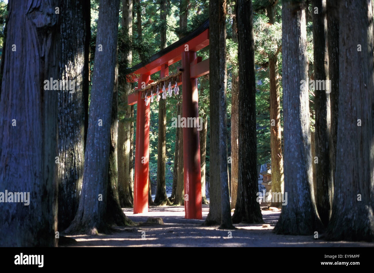 Tori Gate In Forest On Mount Koya Stock Photo - Alamy