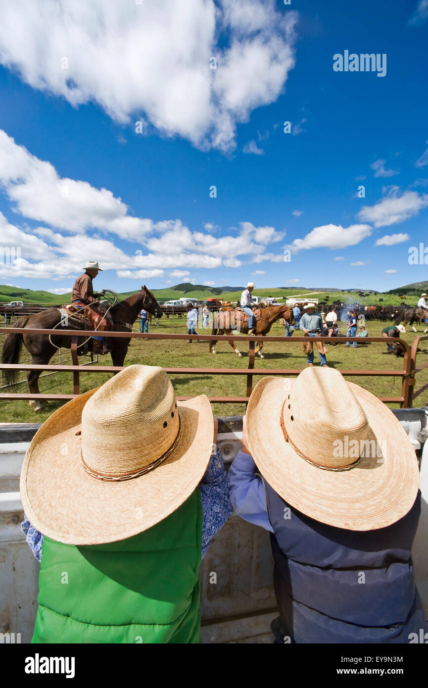 Ranch operations hi-res stock photography and images - Alamy