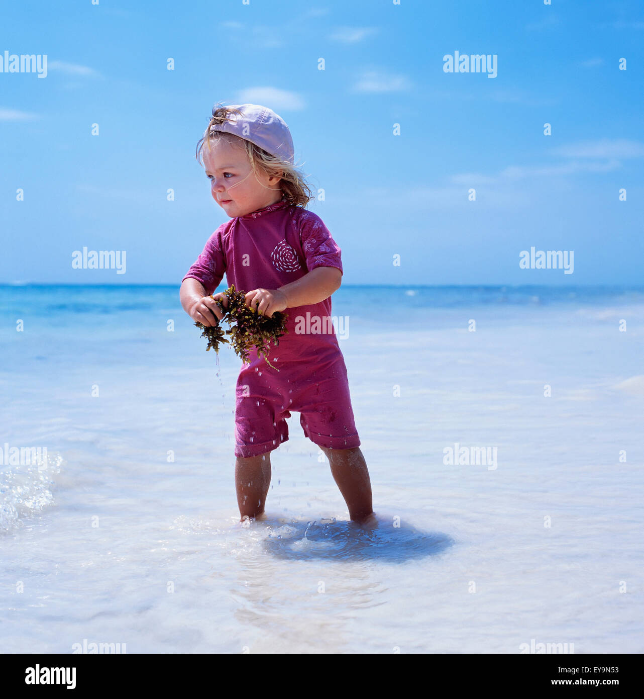 Child Wading In Water Holding Seaweed Stock Photo - Alamy