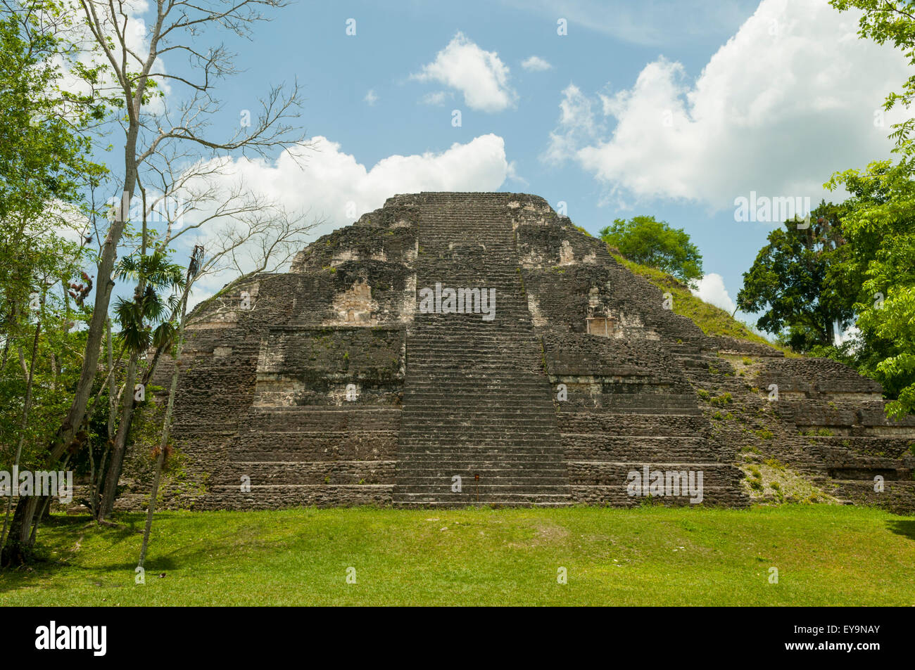 Mundo Perdido, Tikal, Guatemala Stock Photo - Alamy