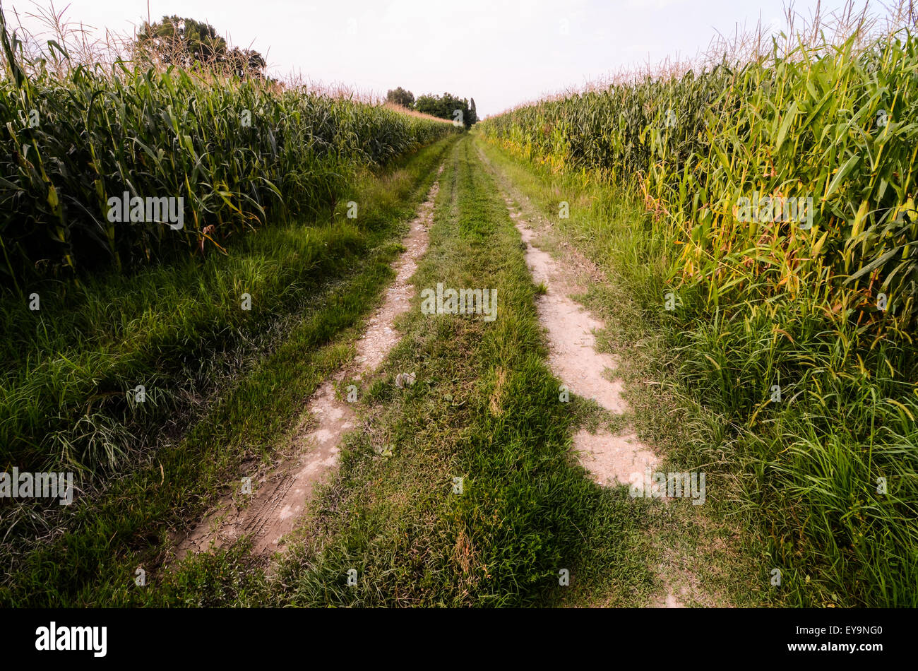 Countryside Dirty Road Stock Photo - Alamy
