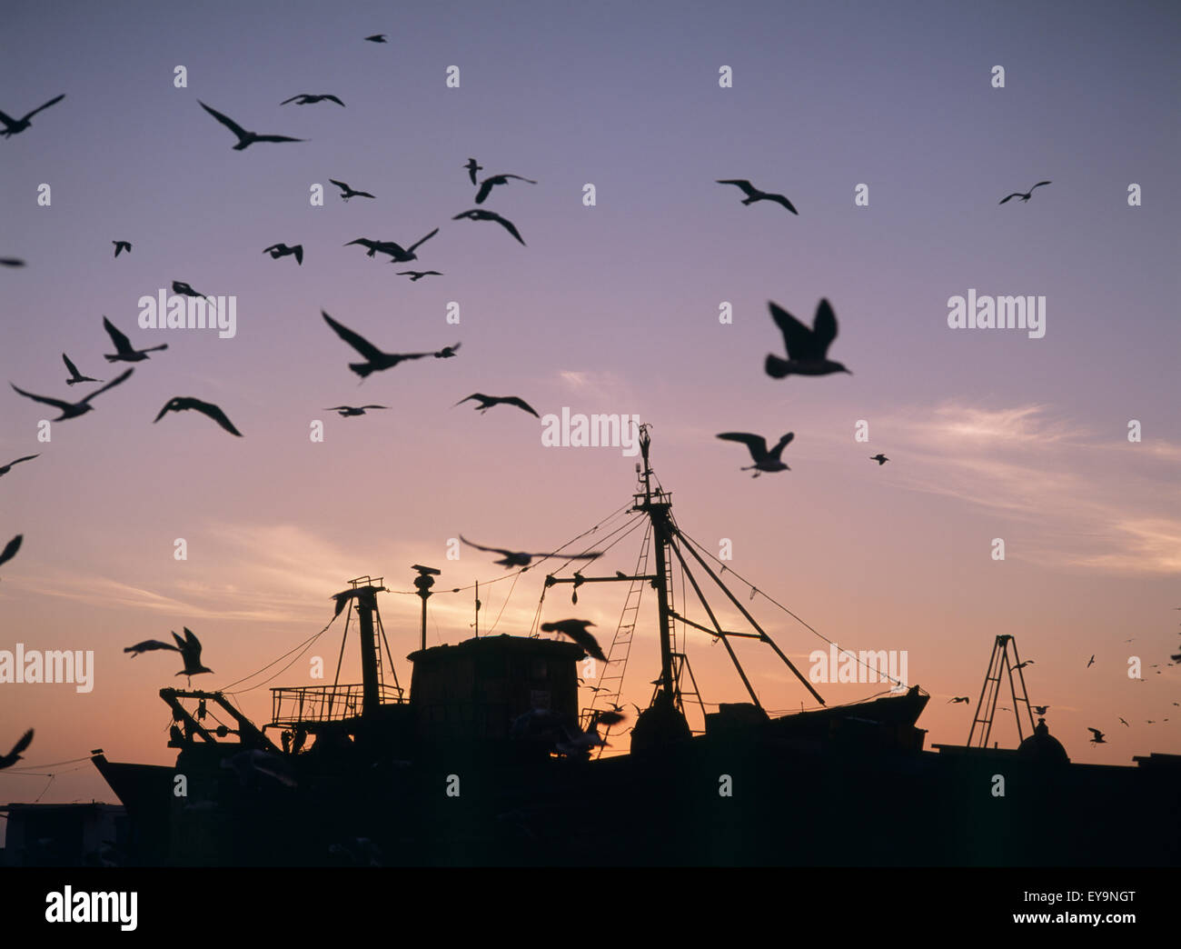 Flying over boats hi-res stock photography and images - Alamy