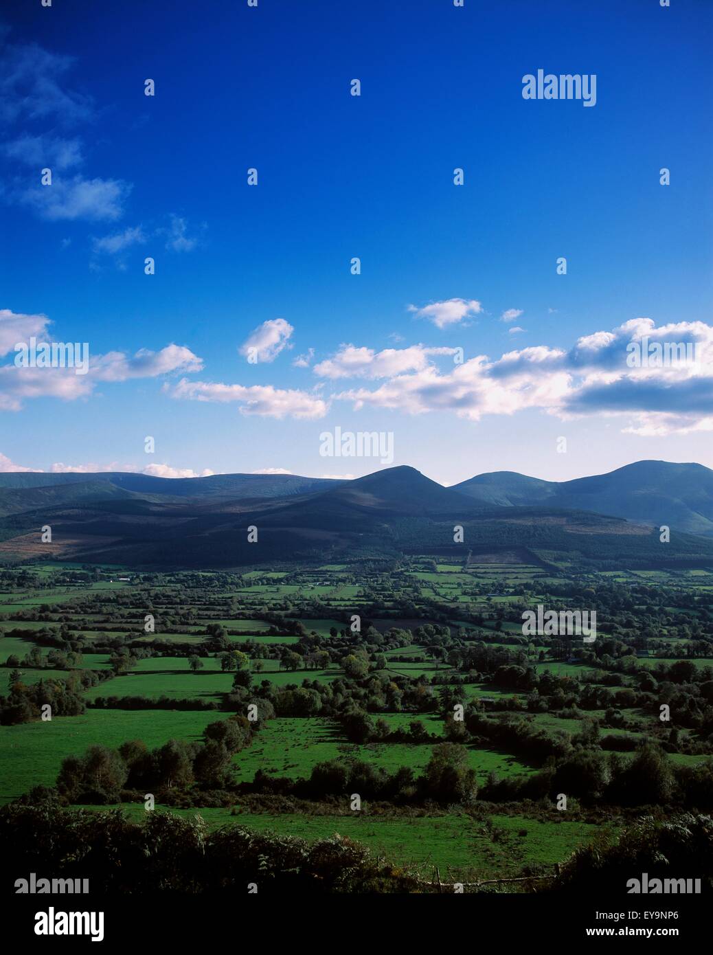 Golden Vale County Tipperary Ireland High Resolution Stock Photography ...
