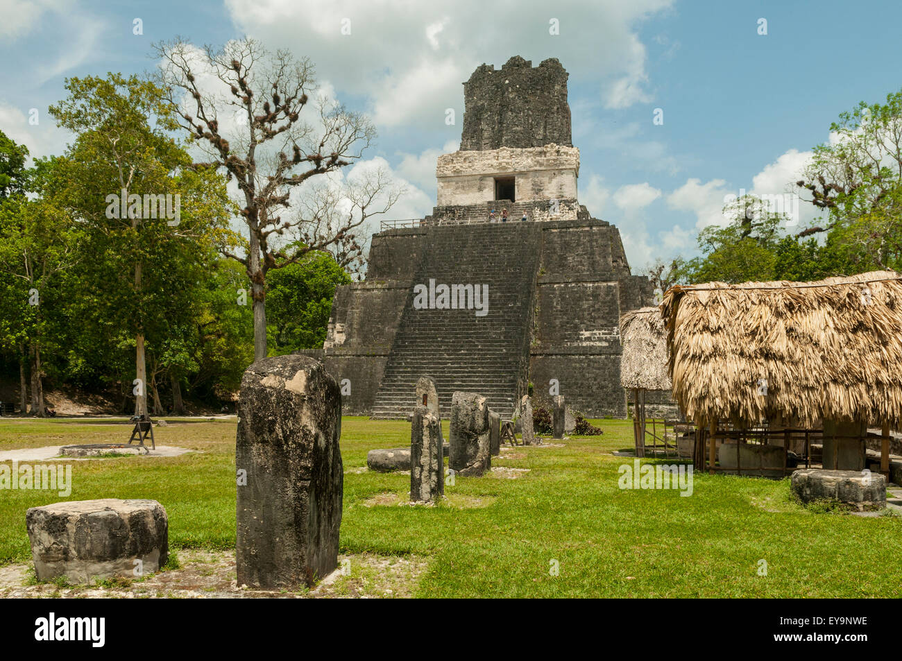 Templo 2, Tikal, Guatemala Stock Photo - Alamy
