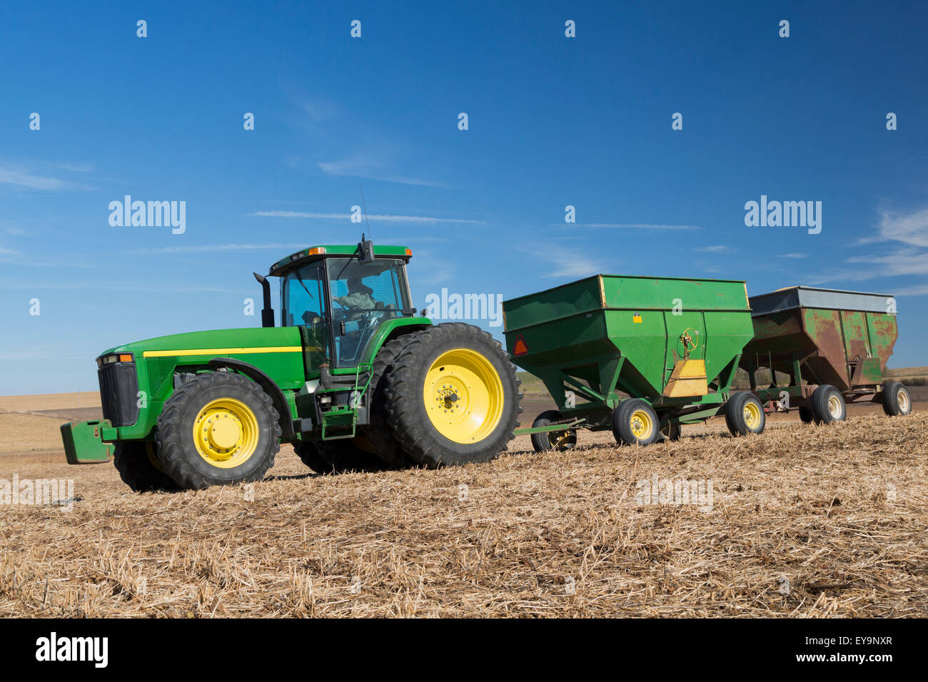 Farmer driving a tractor hauling two grain wagons full of soybeans in ...