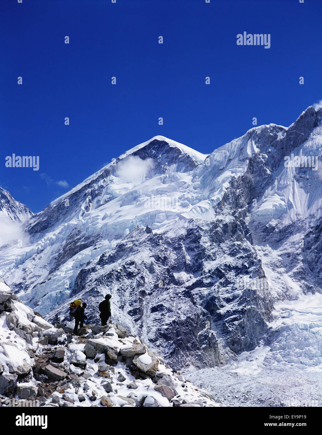 Trekkers Survey, Everest West Shoulde, Sagarmatha National Park Stock ...