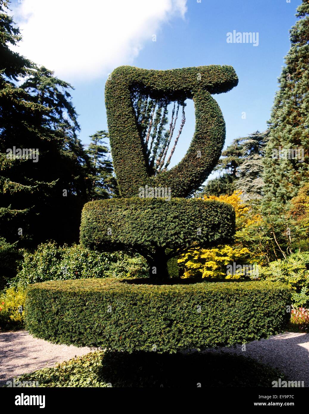 Hedge shaped into the shape of a harp hi-res stock photography and ...