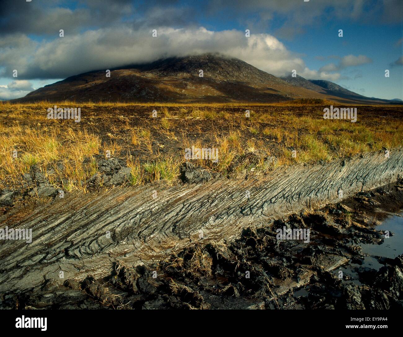 Marsh On The Landscape, Connemara, County Galway, Republic Of Ireland ...