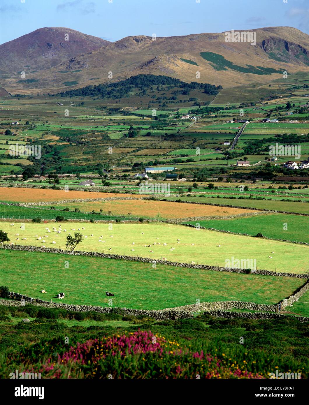 High mournes hi-res stock photography and images - Alamy