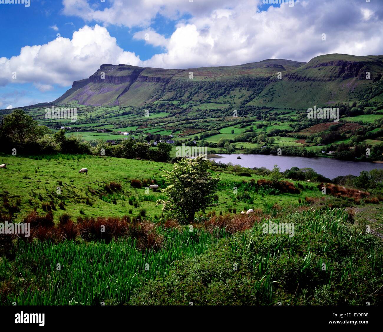 Panoramic View Of A Landscape, County Leitrim, Republic Of Ireland ...