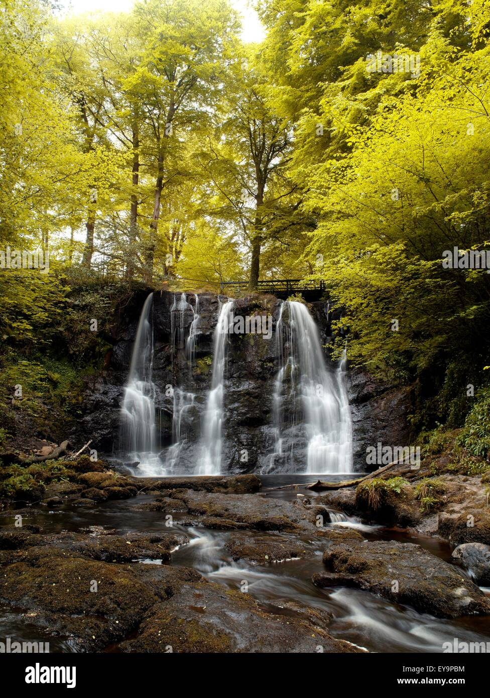 Low Angle View Of A Waterfall In A Forest, Glenariff Waterfall, County ...