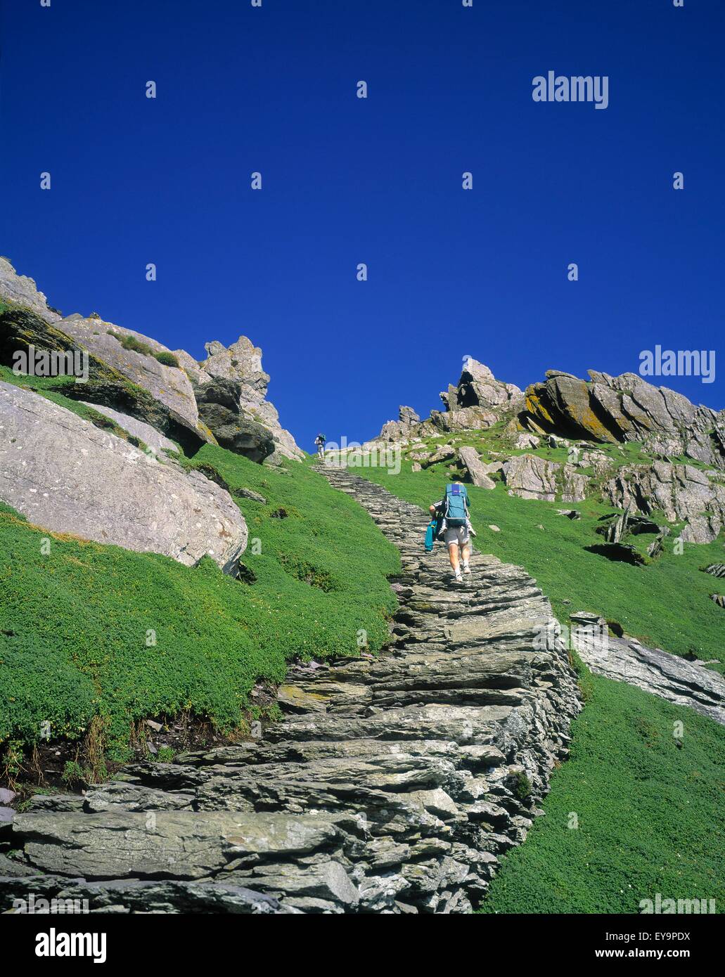 Person Climbing On Rock, Great Skellig, Skellig Islands, Republic Of ...