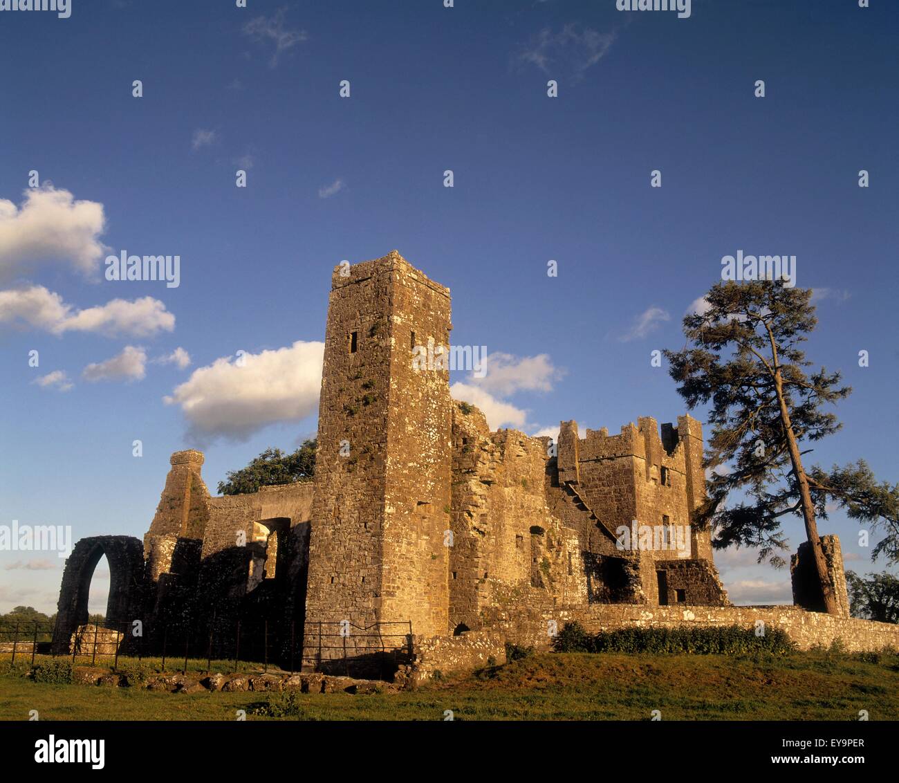 Bective Abbey, Co Meath, Ireland Stock Photo - Alamy