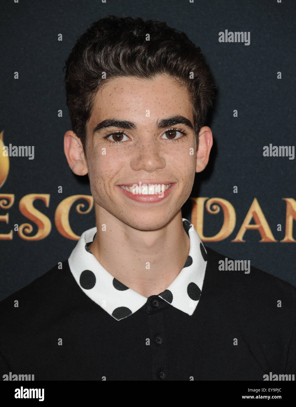 Los Angeles, California, USA. 24th July, 2015. Cameron Boyce attending ...