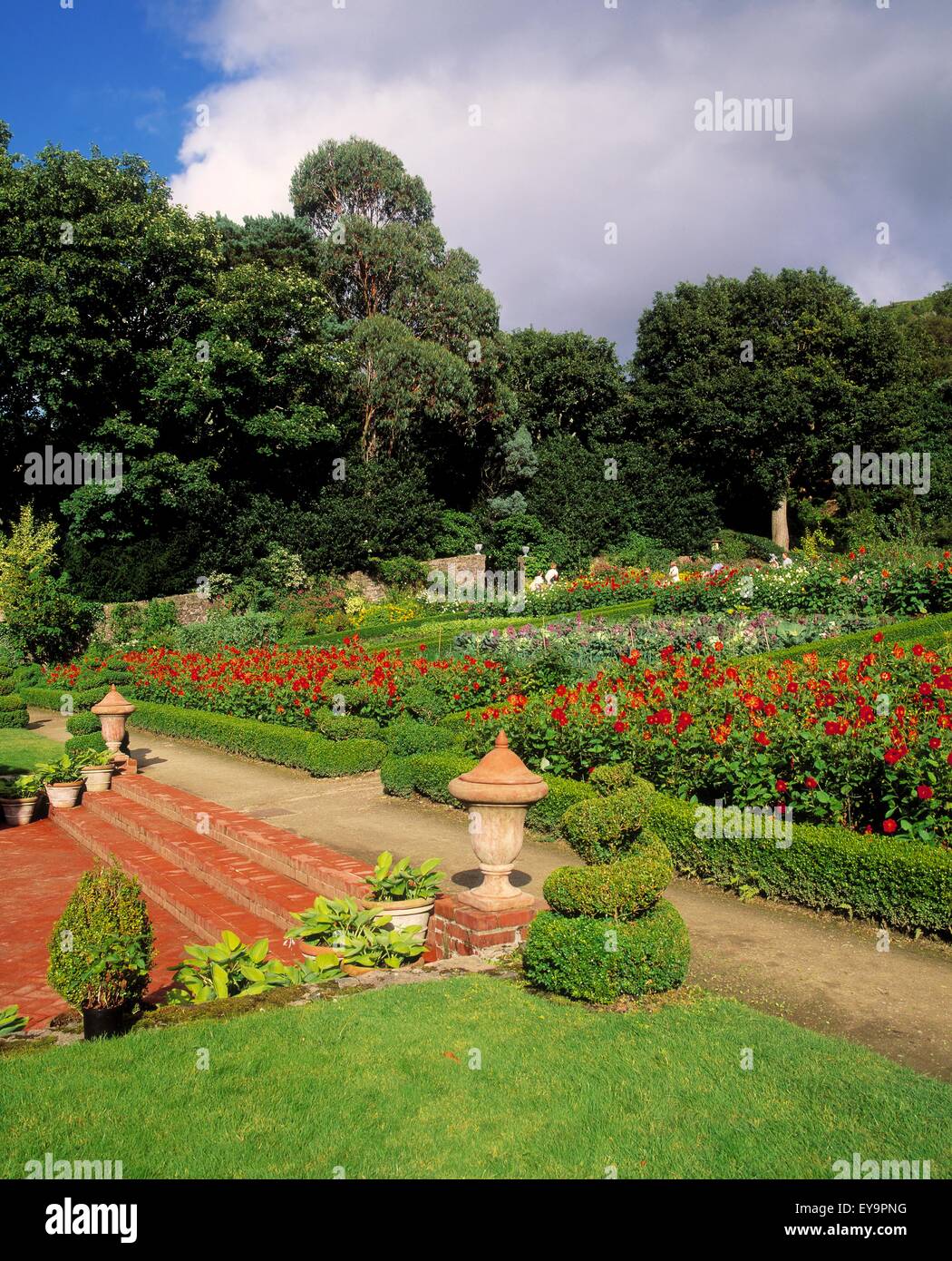 Dahlia Border, Walled Potager, Glenveagh, Co Donegal, Ireland Stock ...