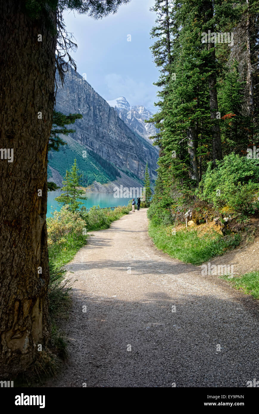 Lake Louise path, Banff National Park, Canada Stock Photo - Alamy