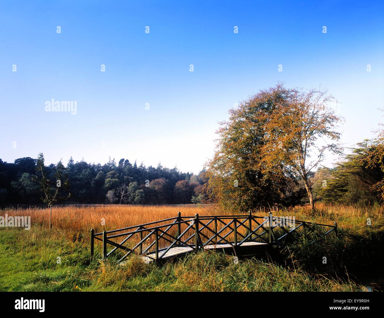Chinese Bridge Near Lake, Ballinlough Castle, Co Westmeath, Ireland ...
