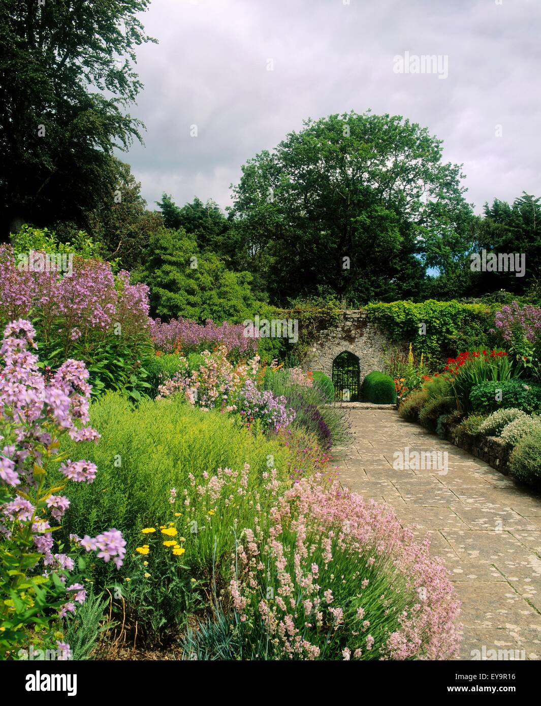 Ardsallagh, Co Tipperary, Ireland; Double Herbaceous Border Stock Photo ...