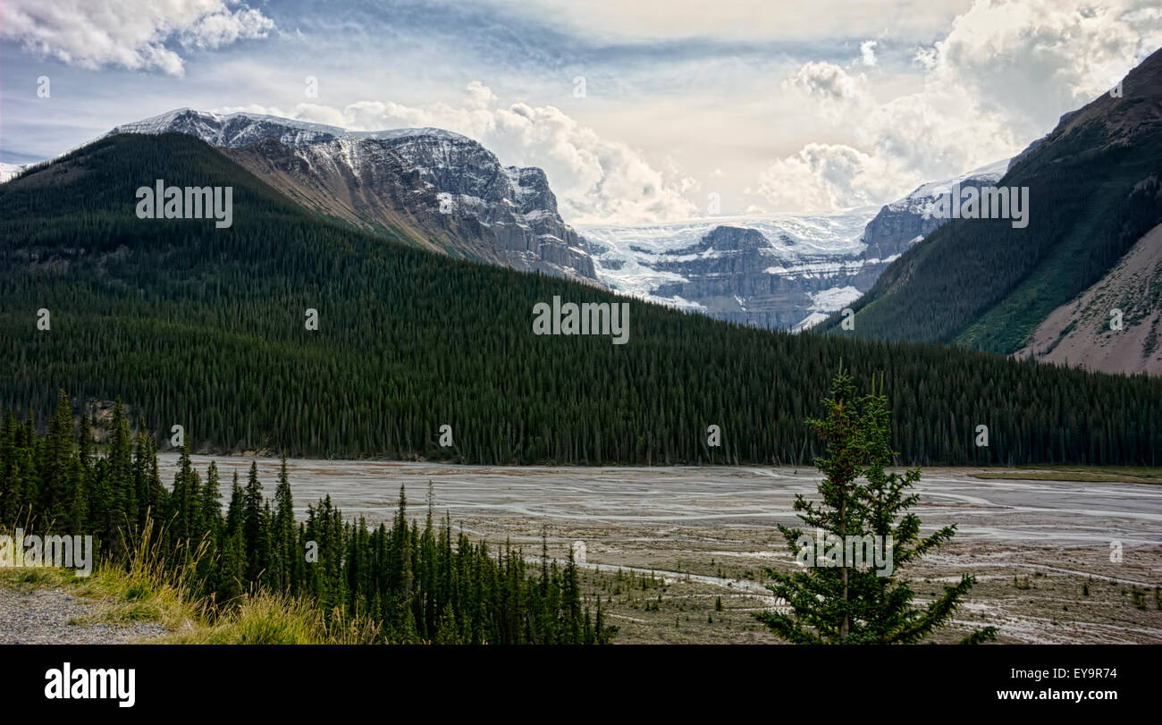 Jasper glacier walk hi-res stock photography and images - Alamy