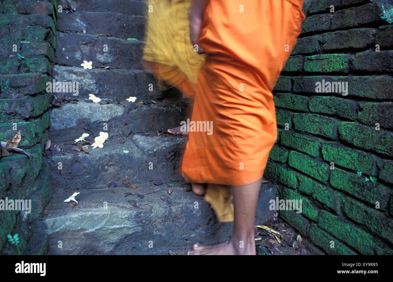 Buddhist Monks On Steps Of Temple, Close Up Stock Photo - Alamy