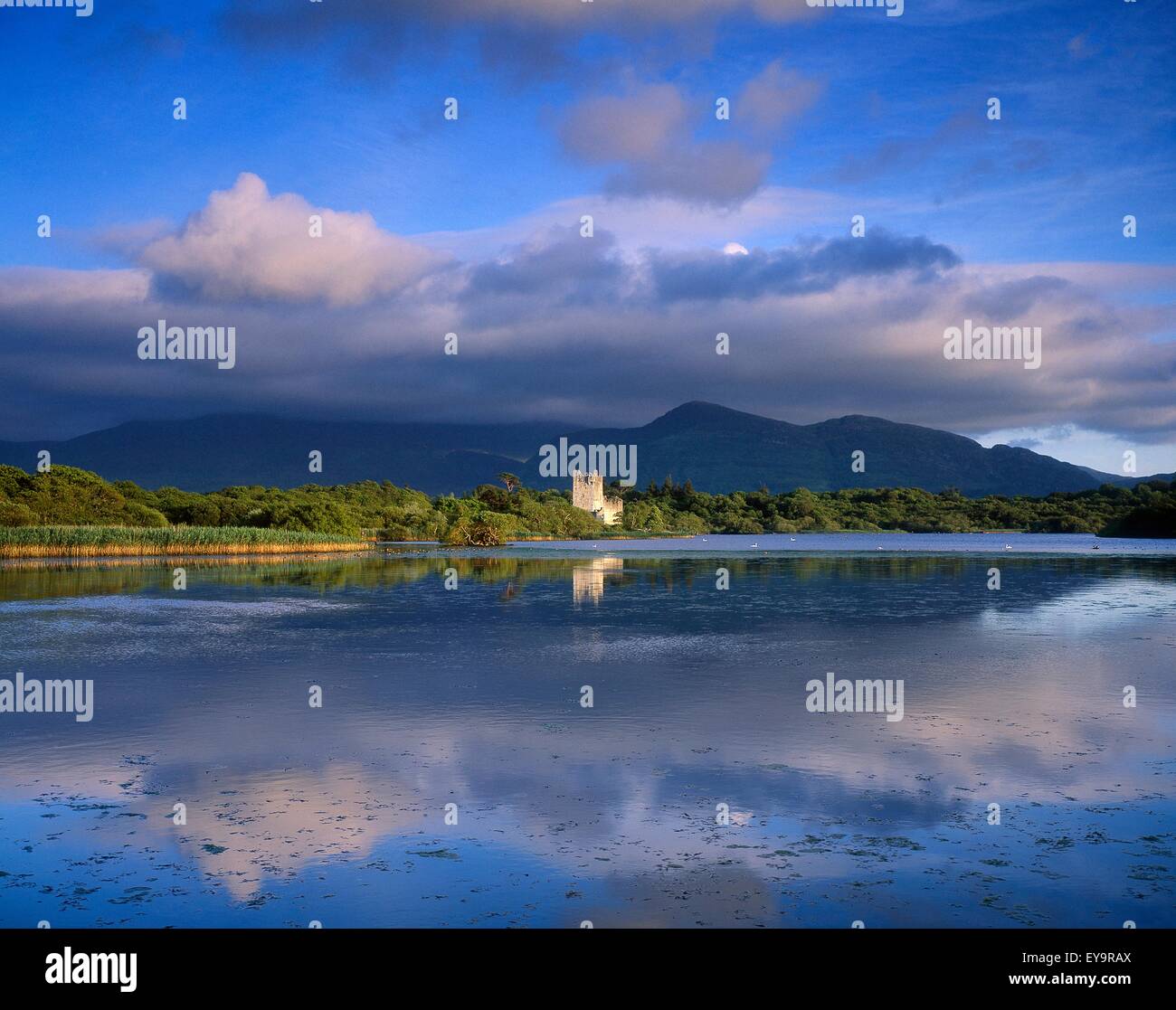 Muckross Lake, Ross Castle, Killarney, Co Kerry, Ireland Stock Photo ...