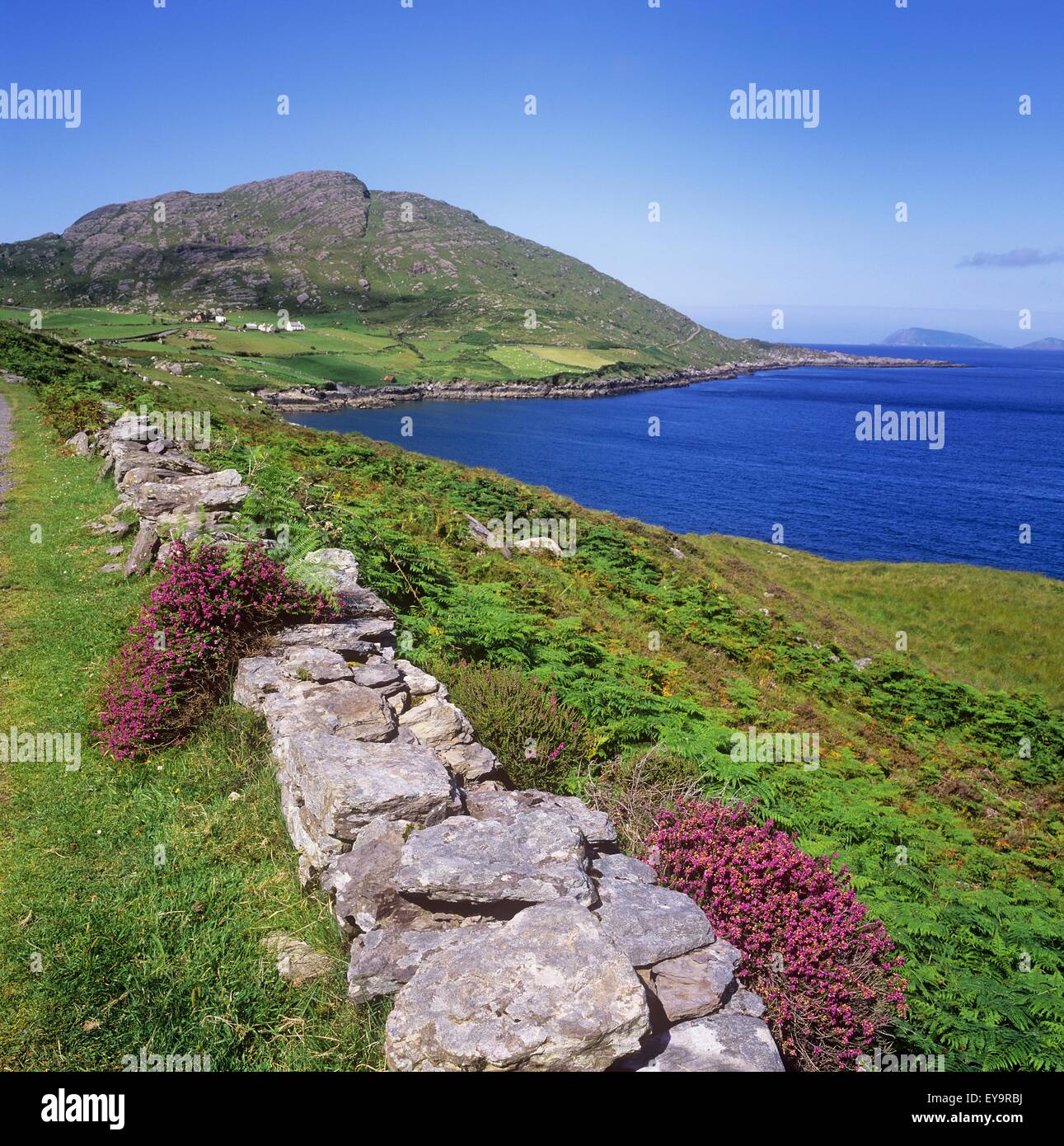 Allihies west cork co cork ireland hi-res stock photography and images ...