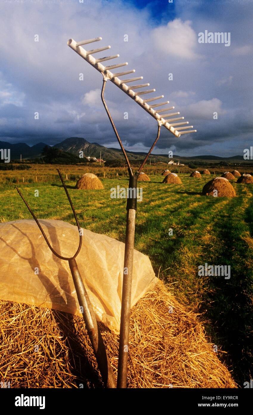 Cross rake hi-res stock photography and images - Alamy