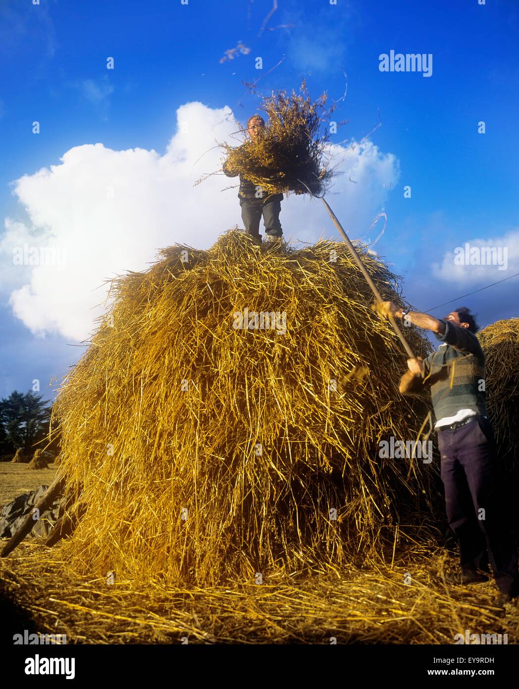 Traditional small haystack hi-res stock photography and images - Alamy