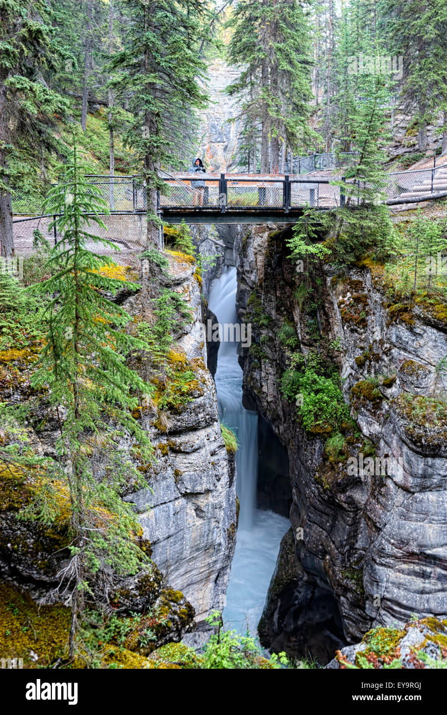 Maligne Canyon is a natural feature located in the Jasper National Park ...