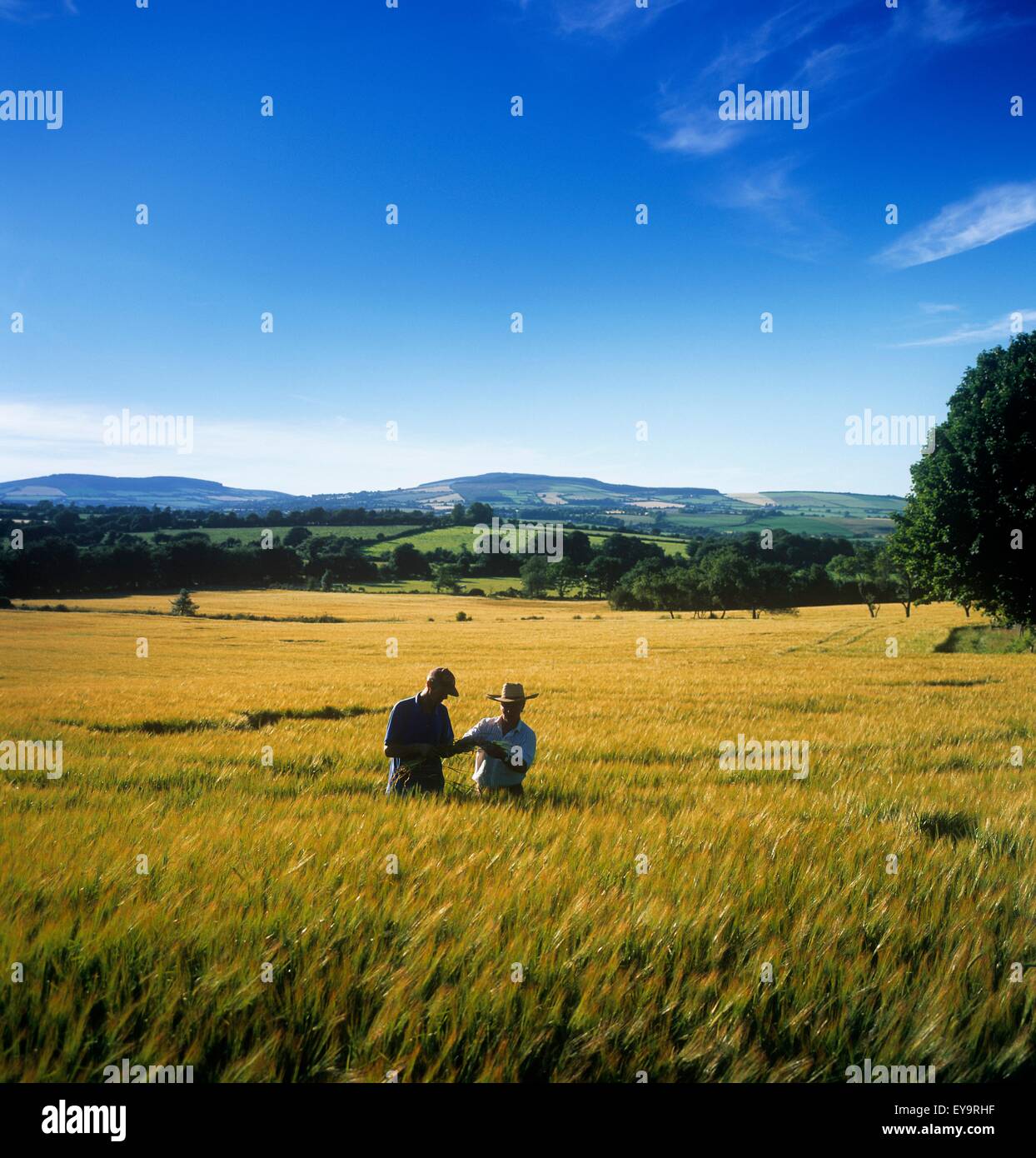 Bunclody co wexford ireland hi-res stock photography and images - Alamy