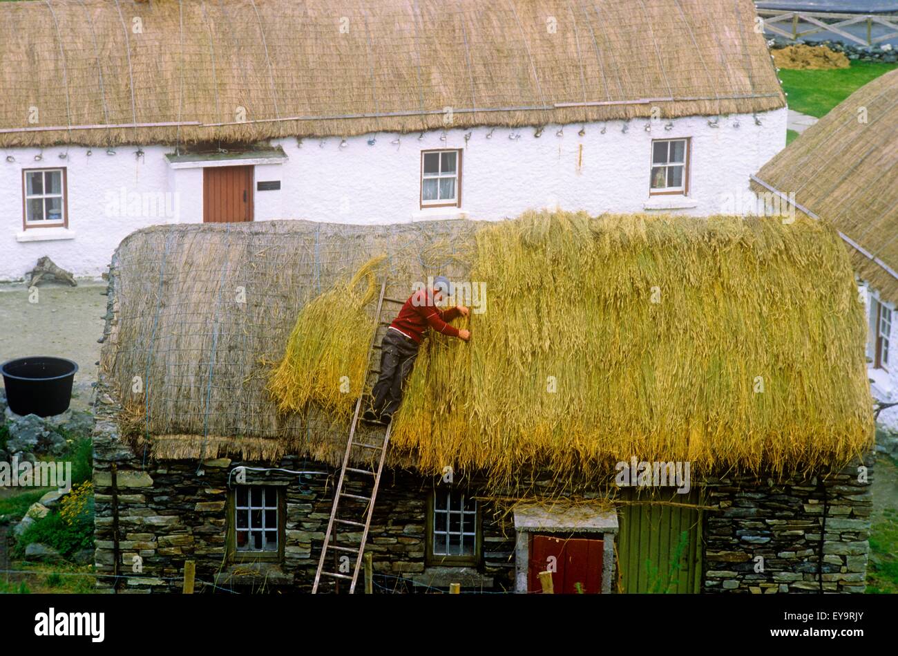 High Angle View Of A Man Thatching The Roof, Folk Village ...
