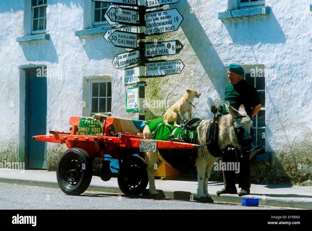 Donkey and cart ireland hi-res stock photography and images - Alamy