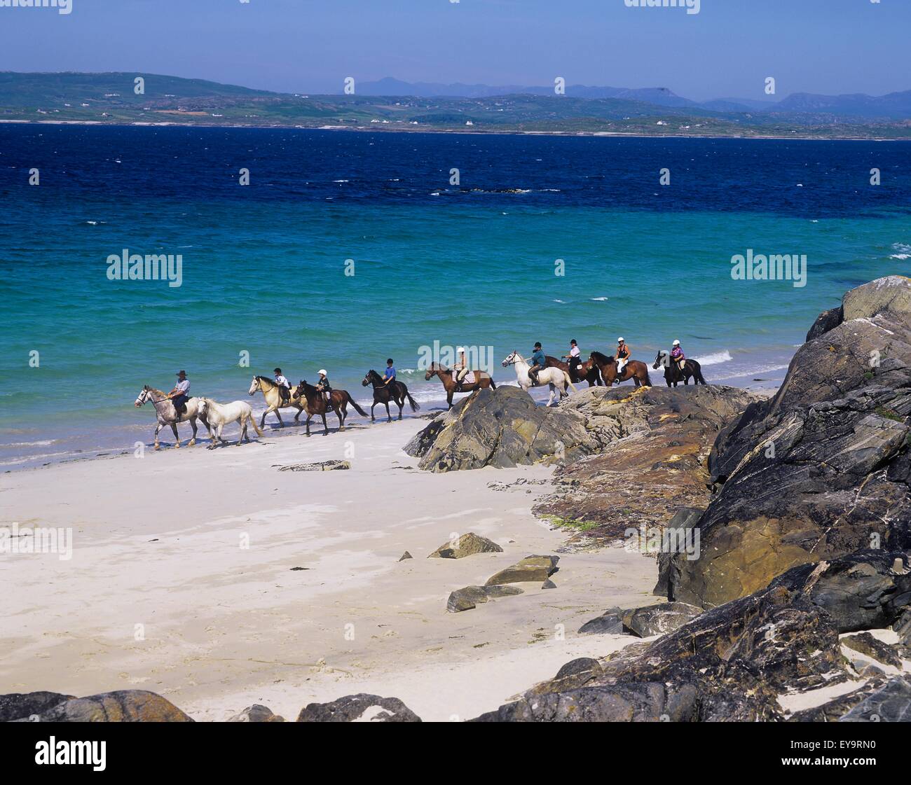 Tourists Horseback Riding On The Beach, Mannin Bay, Connemara, County ...