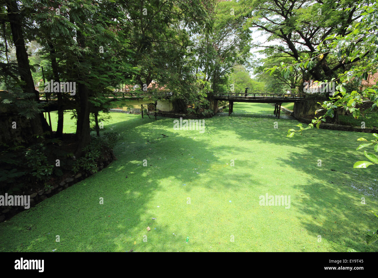 Muppalam, Alleppey, Kerala, India Stock Photo - Alamy