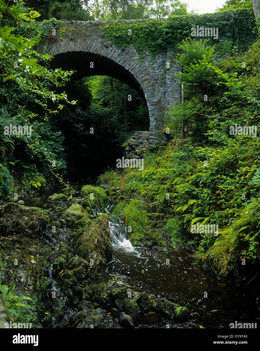 Low Angle View Of Cromwell's Bridge, Cabra, County Down, Northern ...