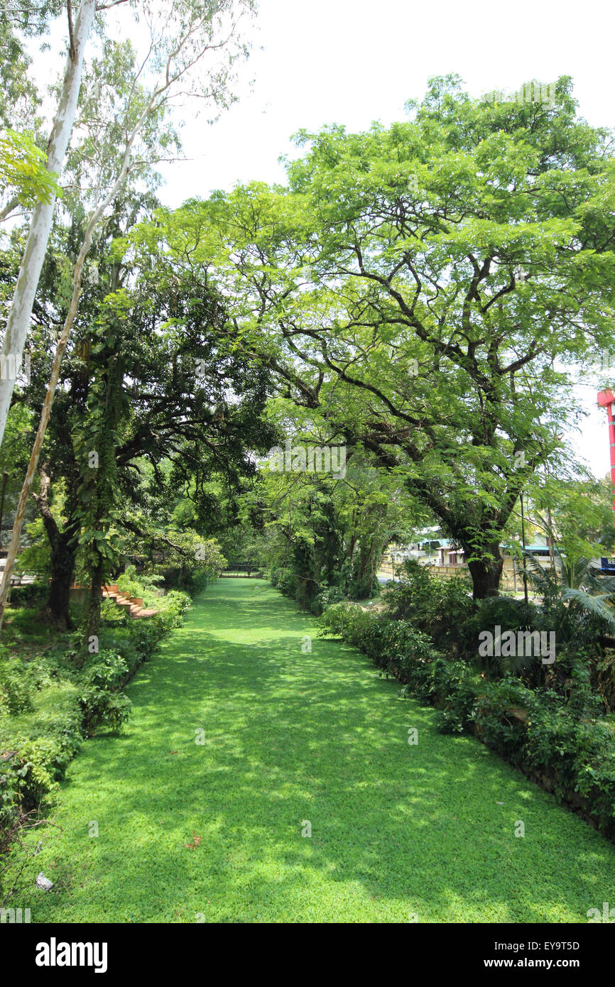 Muppalam, Alleppey, Kerala, India Stock Photo - Alamy