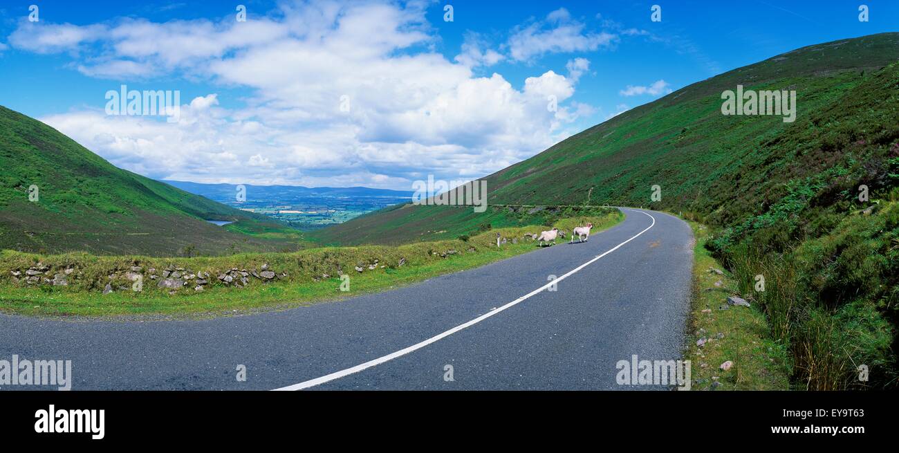 Road Along A Mountain, The Vee, Knockmealdown Mountains, Republic Of ...