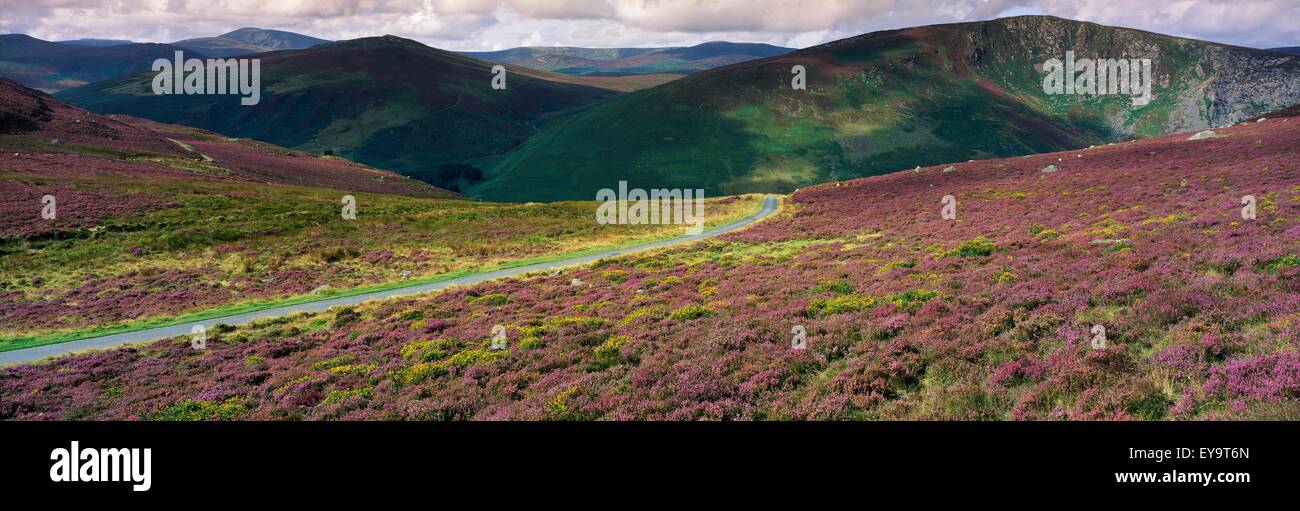 Wicklow contae hi-res stock photography and images - Alamy