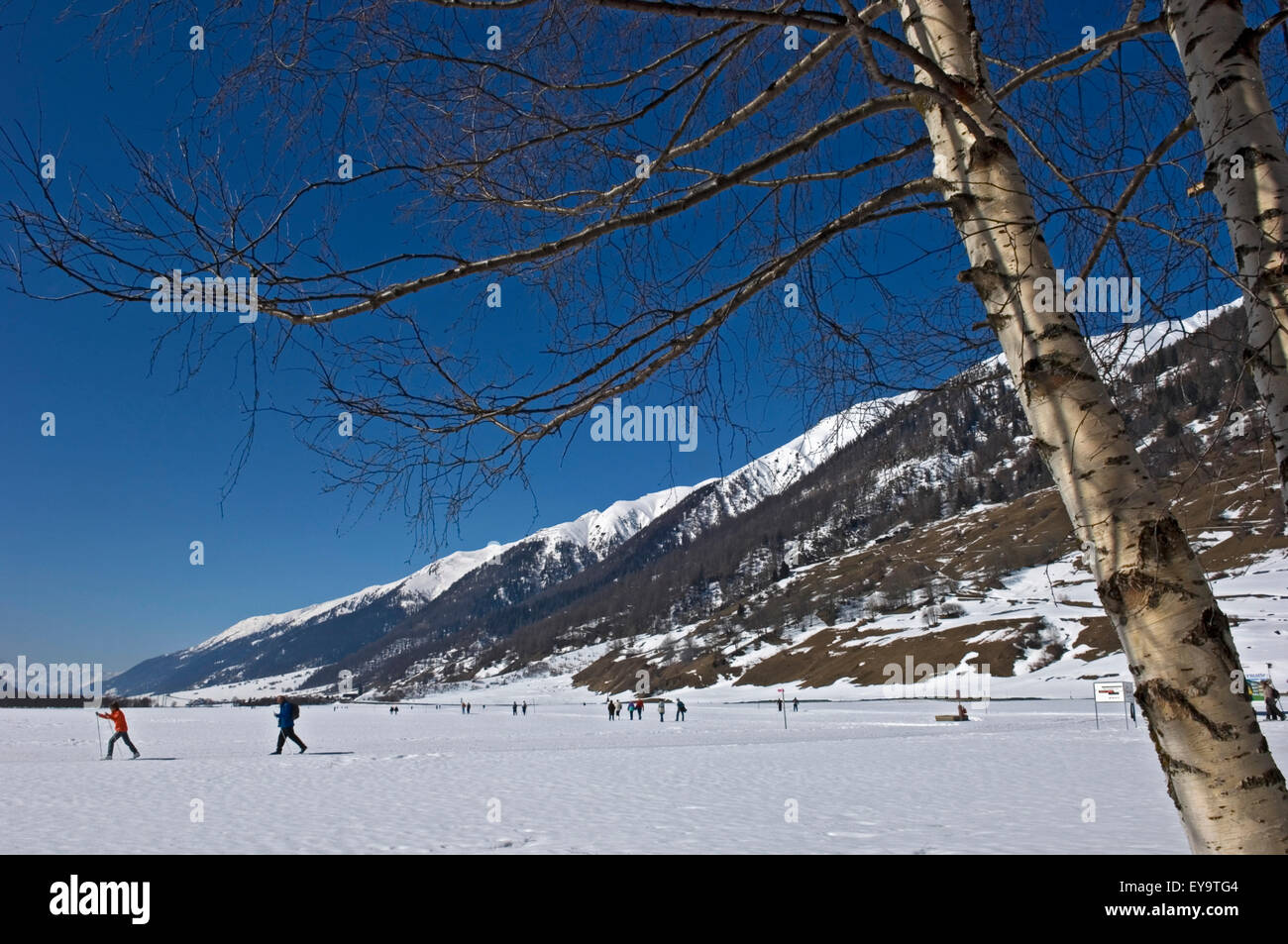 Cross Country Skiing In Obergesteln Stock Photo - Alamy