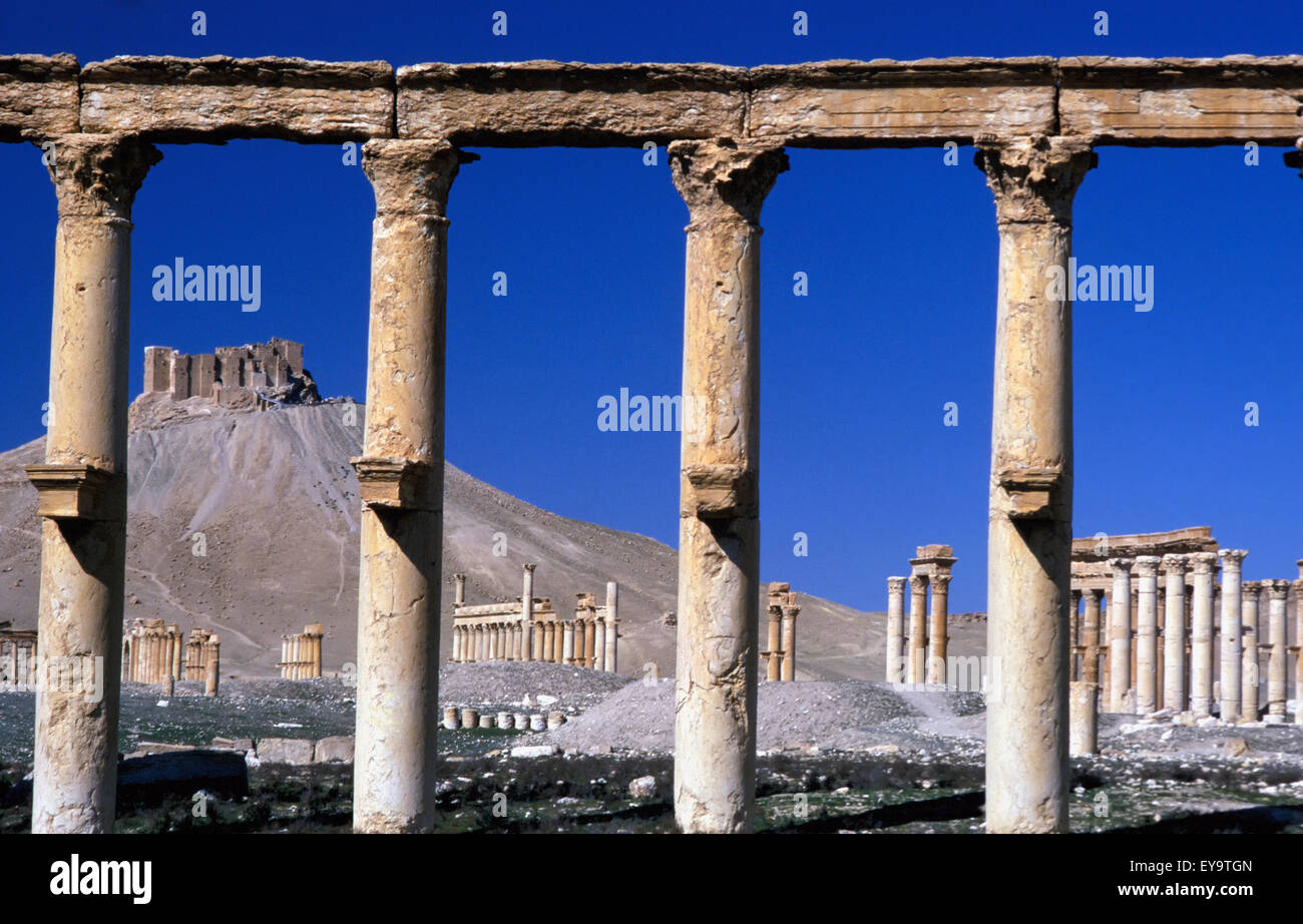 Columns At Ruins Of Palmyra Stock Photo - Alamy