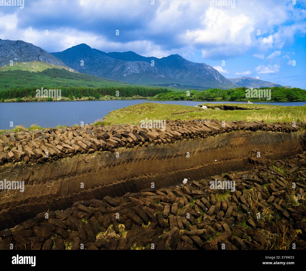 Inagh Valley, Co Galway, Ireland; Traditional Turf Cutting Stock Photo ...