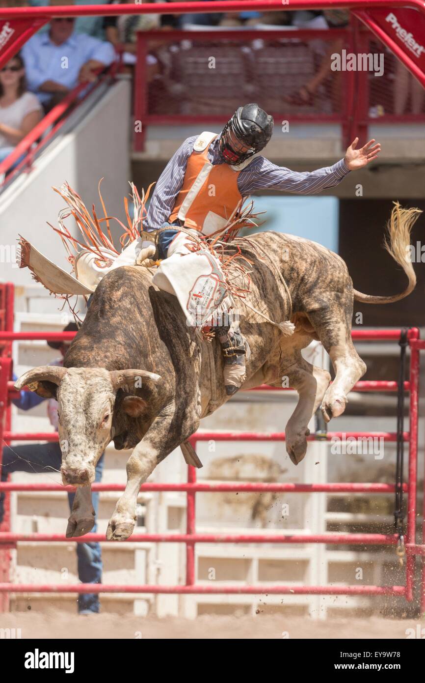 Cheyenne, Wyoming, USA. 24th July, 2015. Bull rider Dalan Duncan holds ...