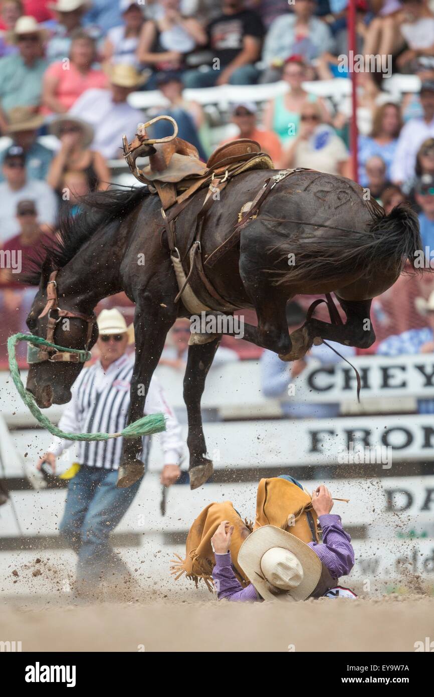 Cheyenne, Wyoming, USA. 24th July, 2015. Bronco Dirty Little Secret ...